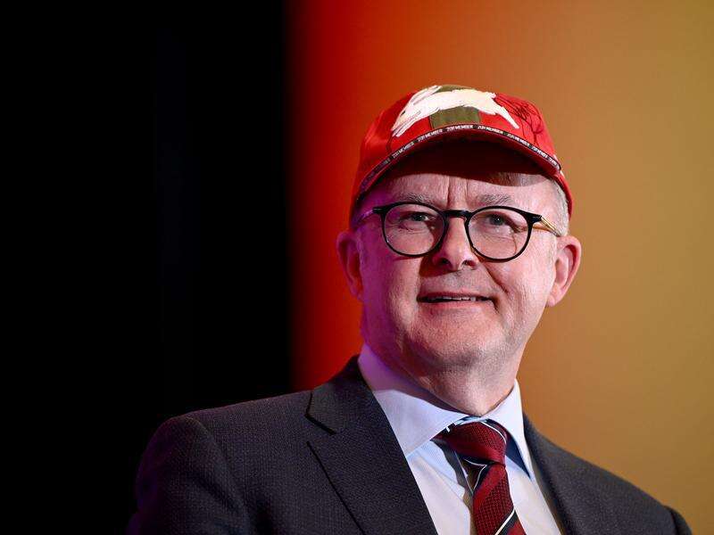 I haven't forgotten what it means to struggle: Albanese | Country News