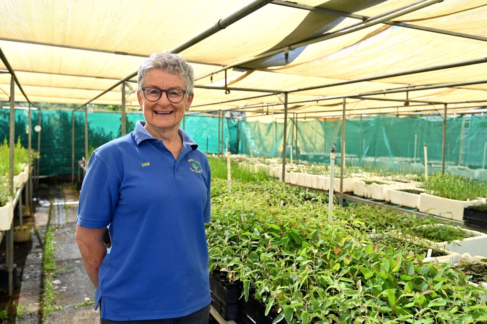 The grass is greener after 40 years of GV Tree Group | Shepparton News