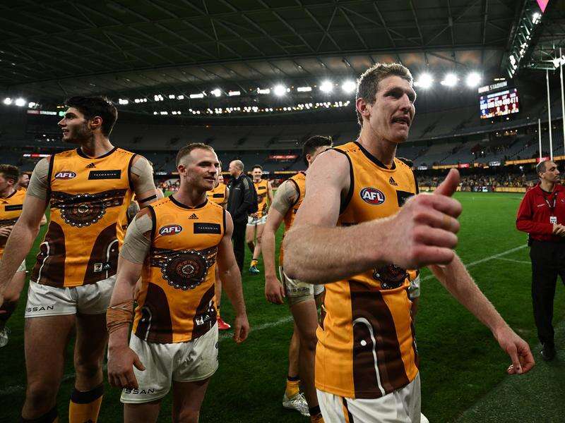 Hawks lean on McEvoy for AFL inspiration | Benalla Ensign
