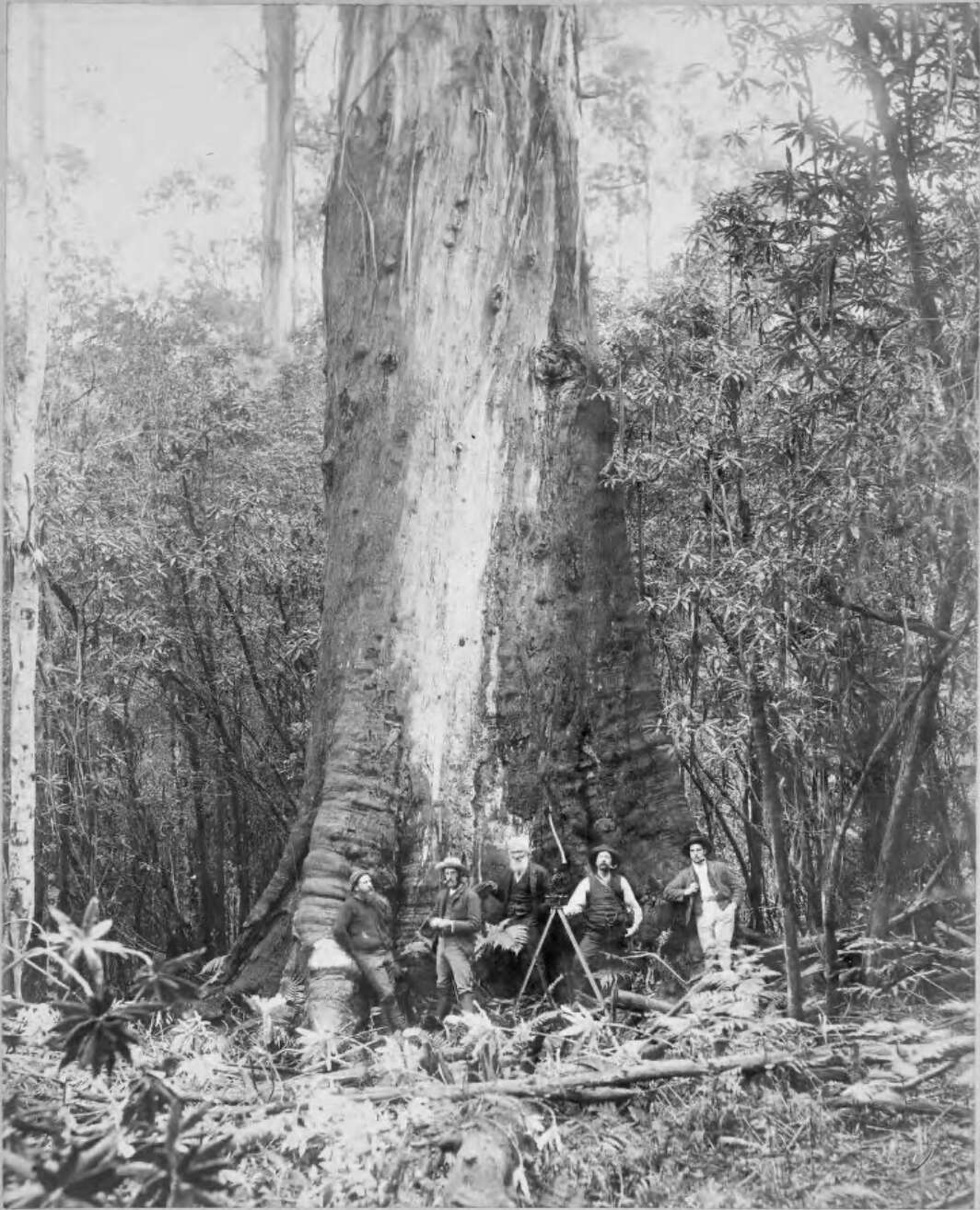 Shepparton photographers through the ages, part two | Shepparton News