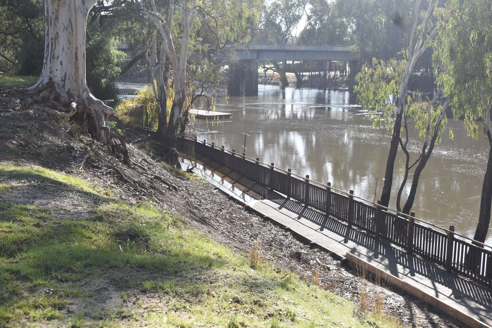 River still rising at Junction | Seymour Telegraph