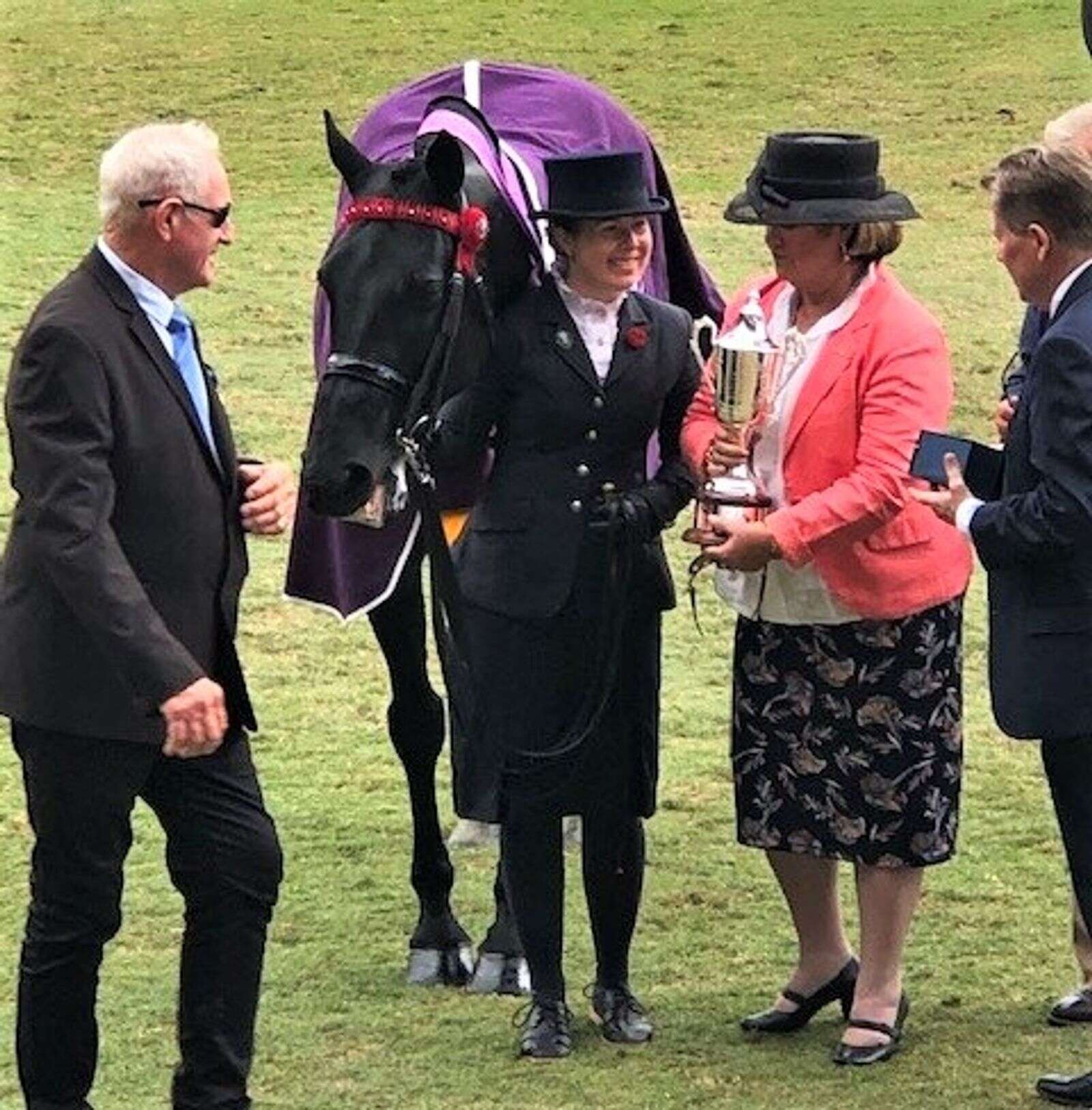 Impressive horse showing at Sydney Royal Easter Show | Riverine Herald