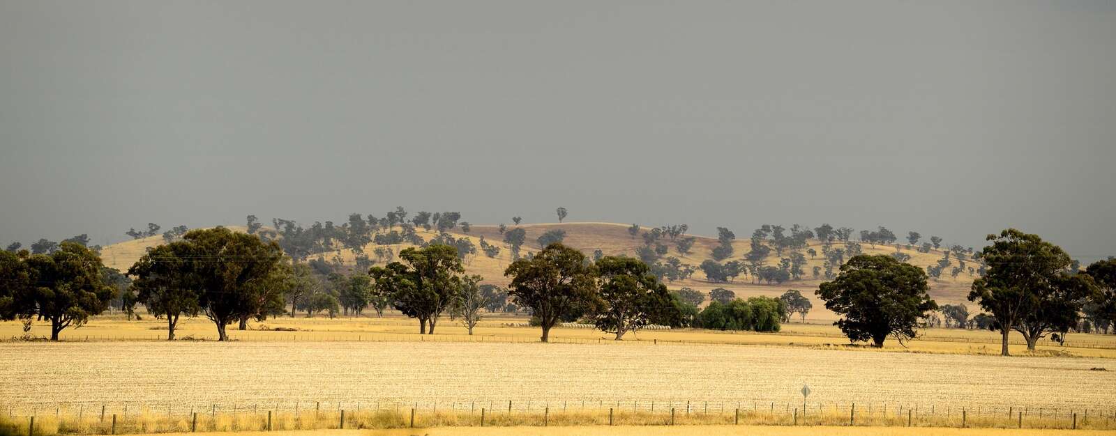 Keep farmers farming: NFF | Country News