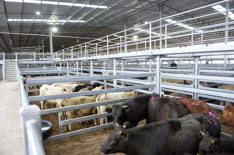 New lease for Shepparton saleyards | Country News