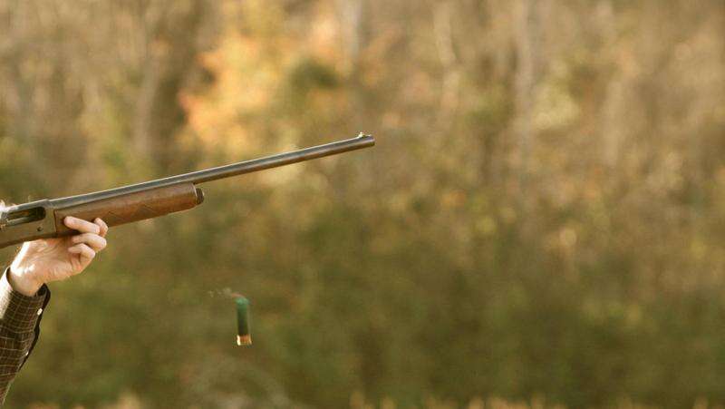 Fined for deer death | Country News