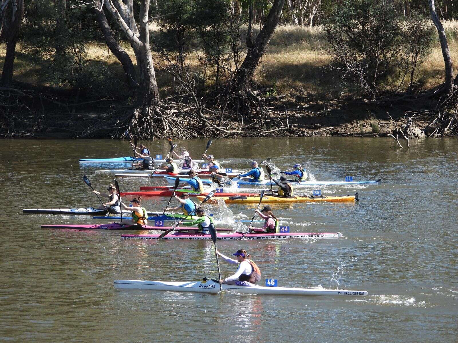 Cobram canoe racing | Cobram Courier