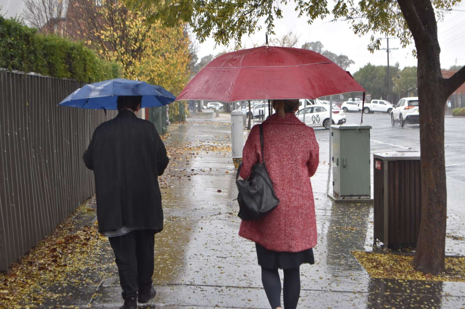 Wednesday our wettest day of the year | Riverine Herald