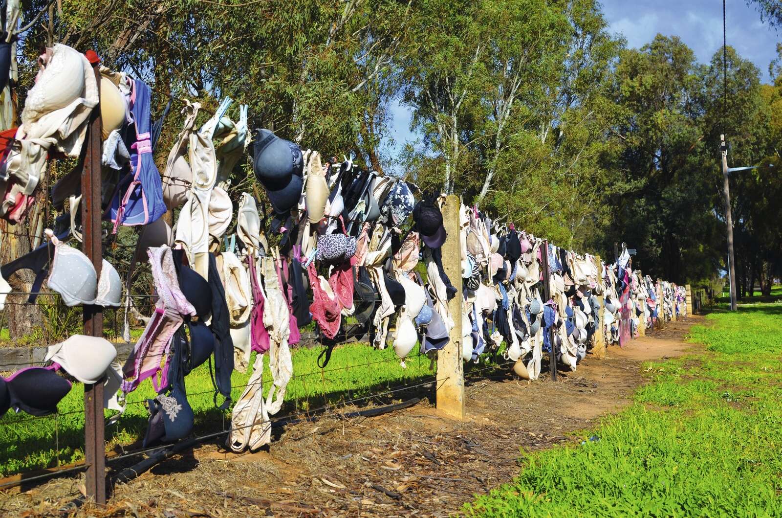 Mathoura welcomes celebrating mothers | Dairy News Australia