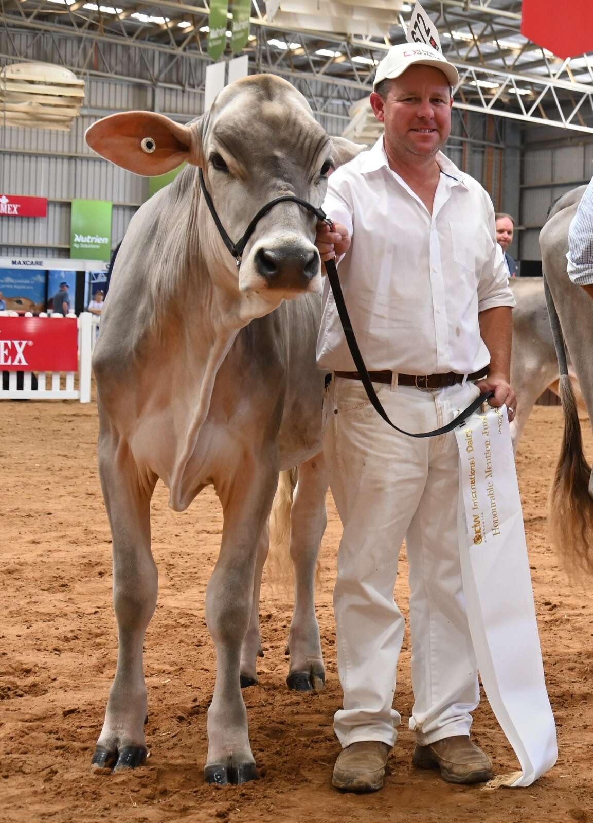 The science behind showing | Deniliquin Pastoral Times