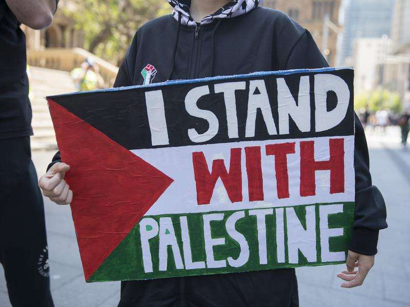 Palestinian supporters take to the nation's streets | Country News