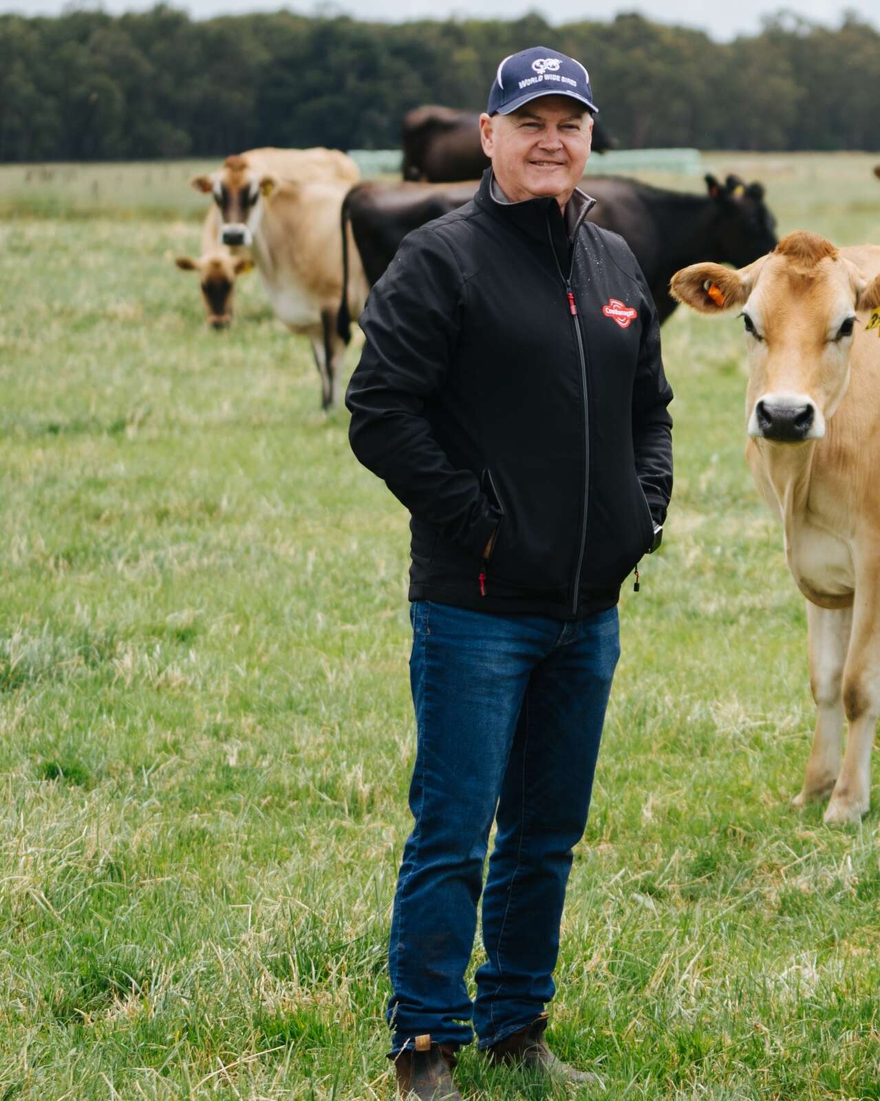 Cow monitoring technology is all about teamwork | Dairy News Australia