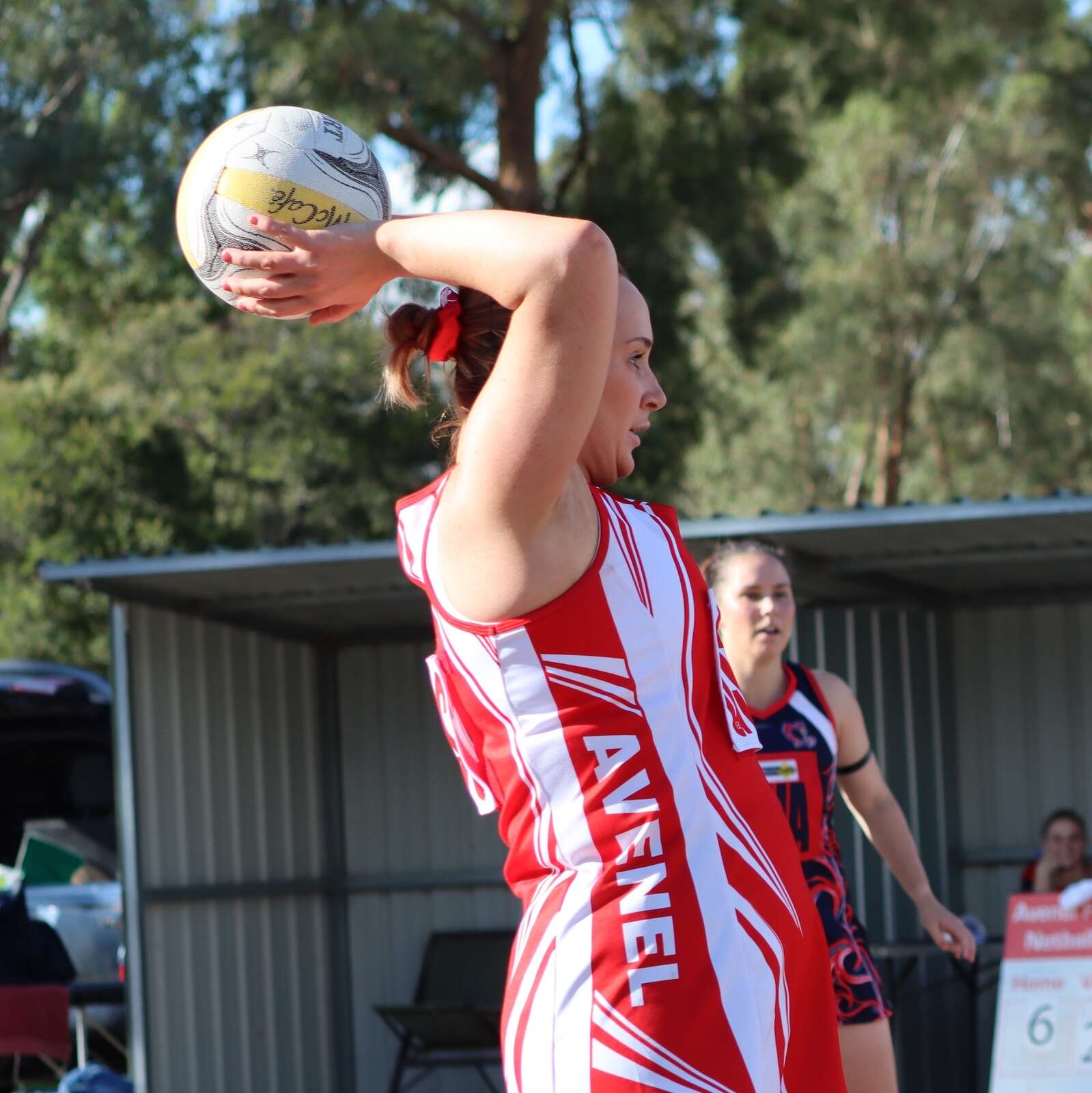 KDL netball sides continue to confirm coaches | Shepparton News