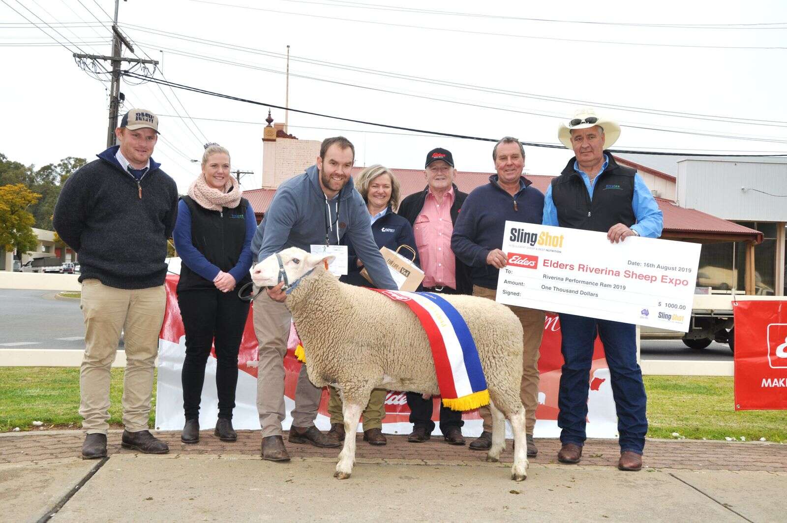 What traits make a winning sheep? | Country News