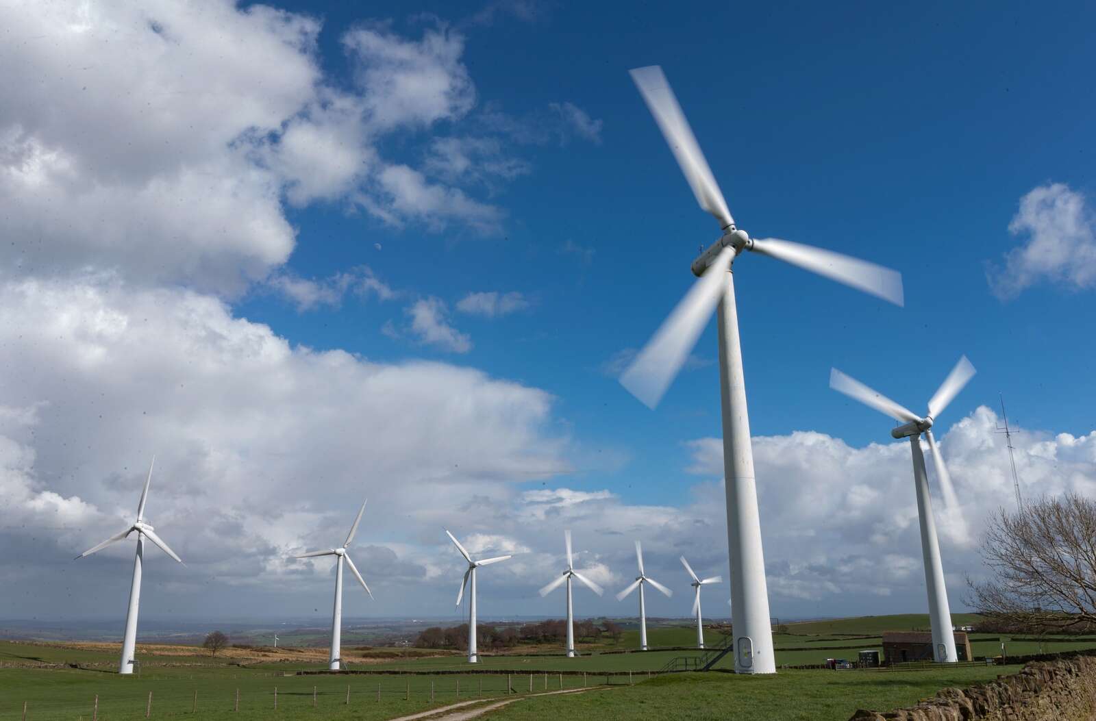 New wind farm joint venture | Deniliquin Pastoral Times