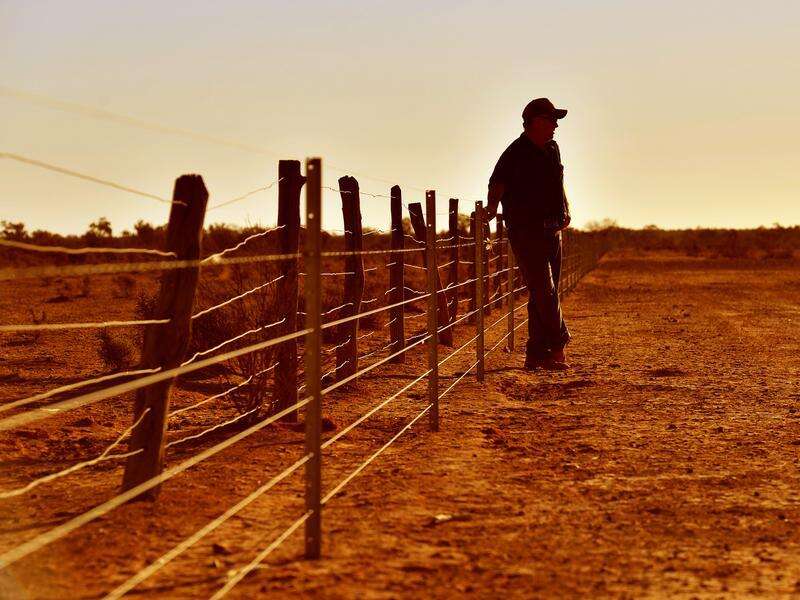 No El Nino for now but authorities remain on alert | Country News