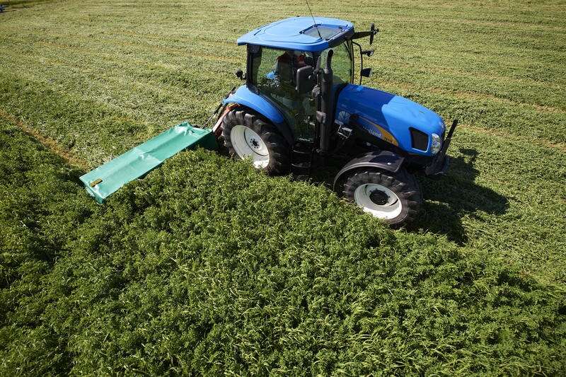 Plan ahead for the next hay season | Country News