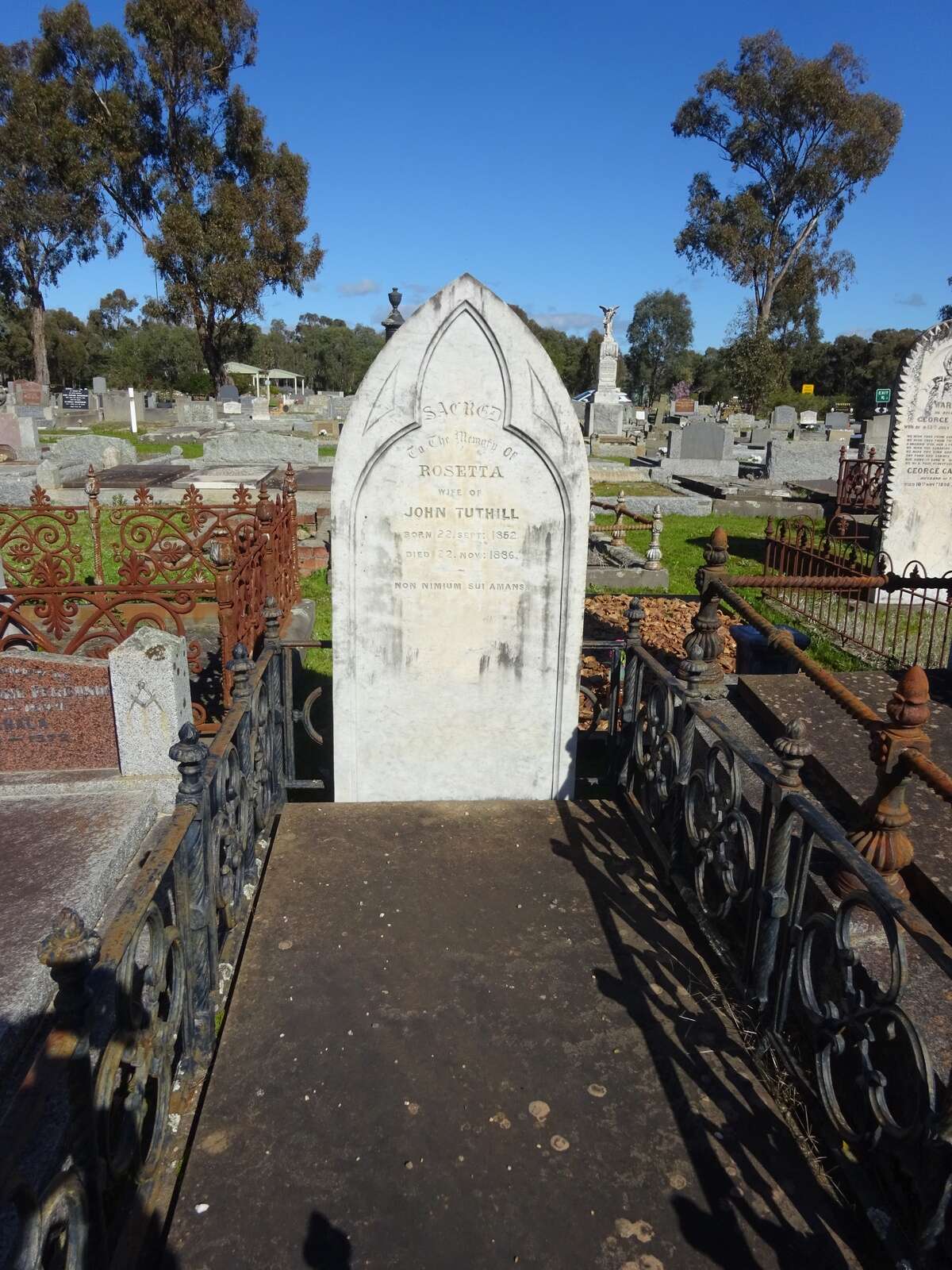 Coo-ee: The Tuthill Brothers | Seymour Telegraph