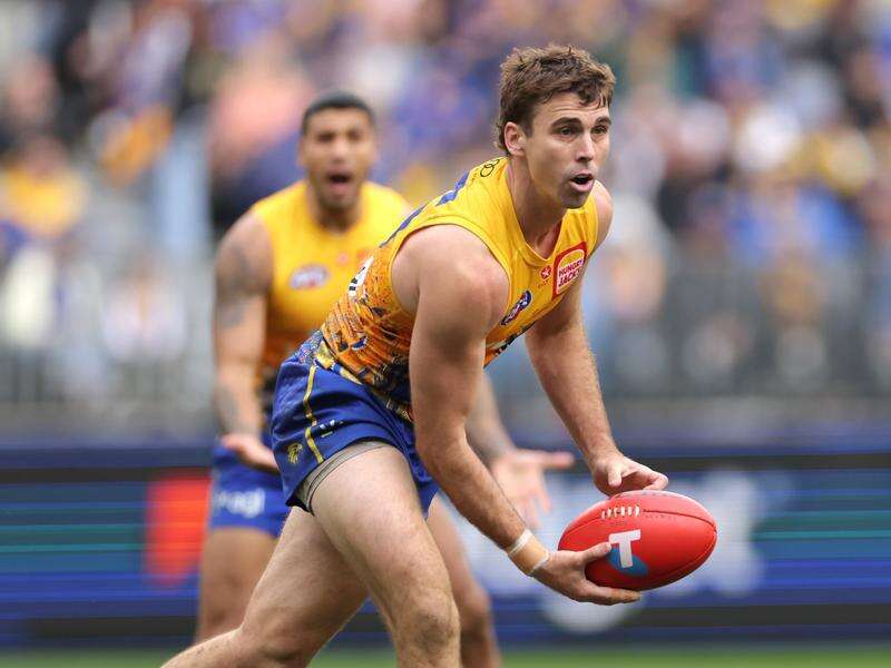 Cripps hopeful Eagles rebuild pain won't last too long | Country News