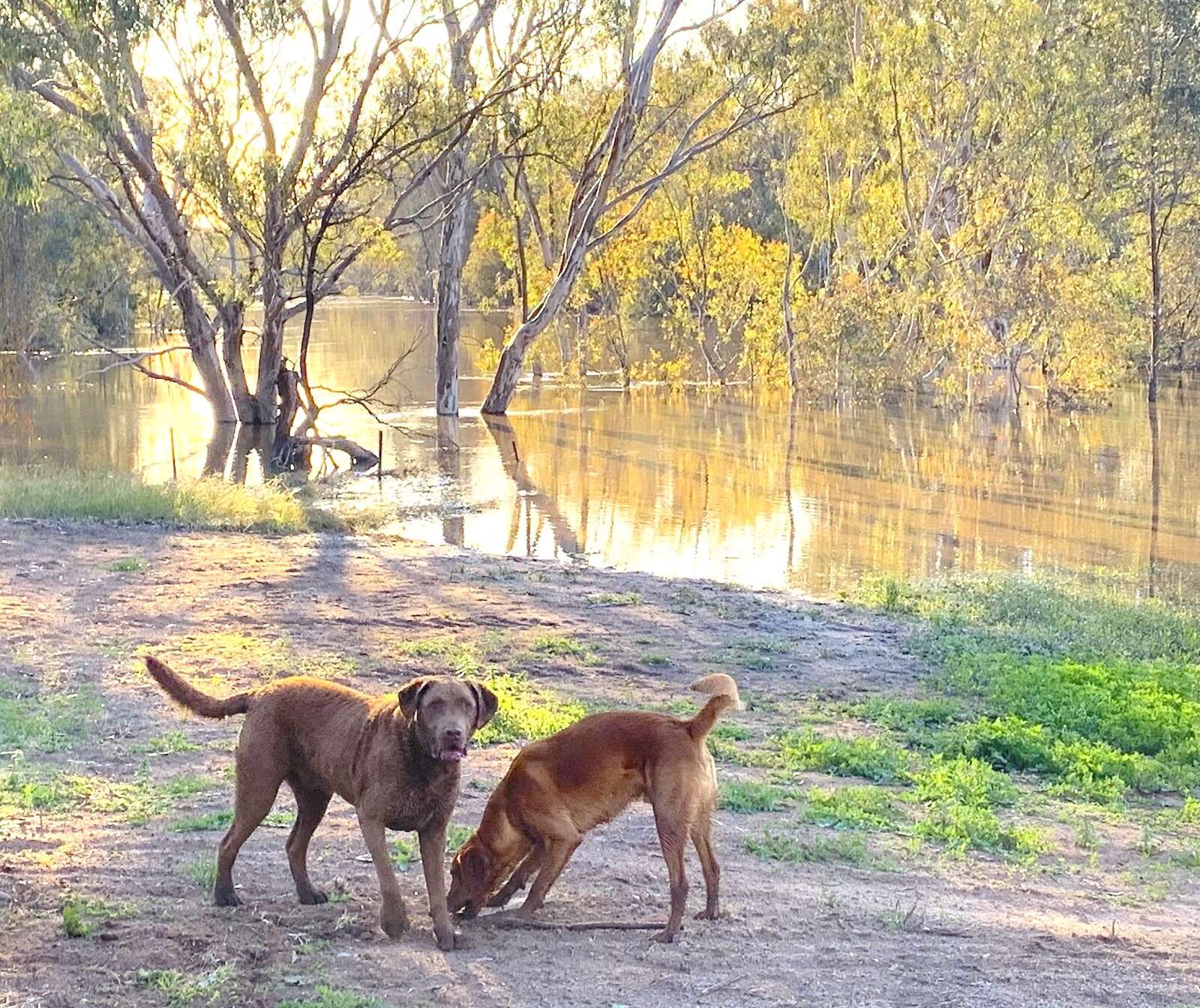 Climate Council ignores my diluvian disappointment | Shepparton News