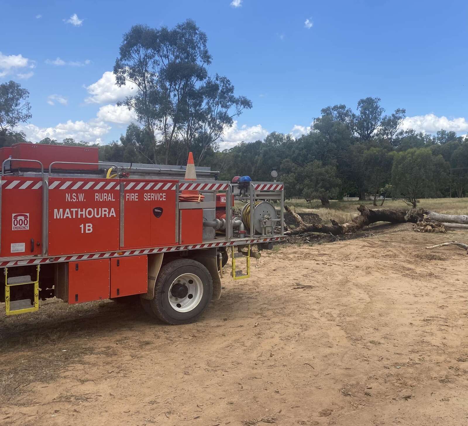 Tree fire sparked by lightning | Deniliquin Pastoral Times
