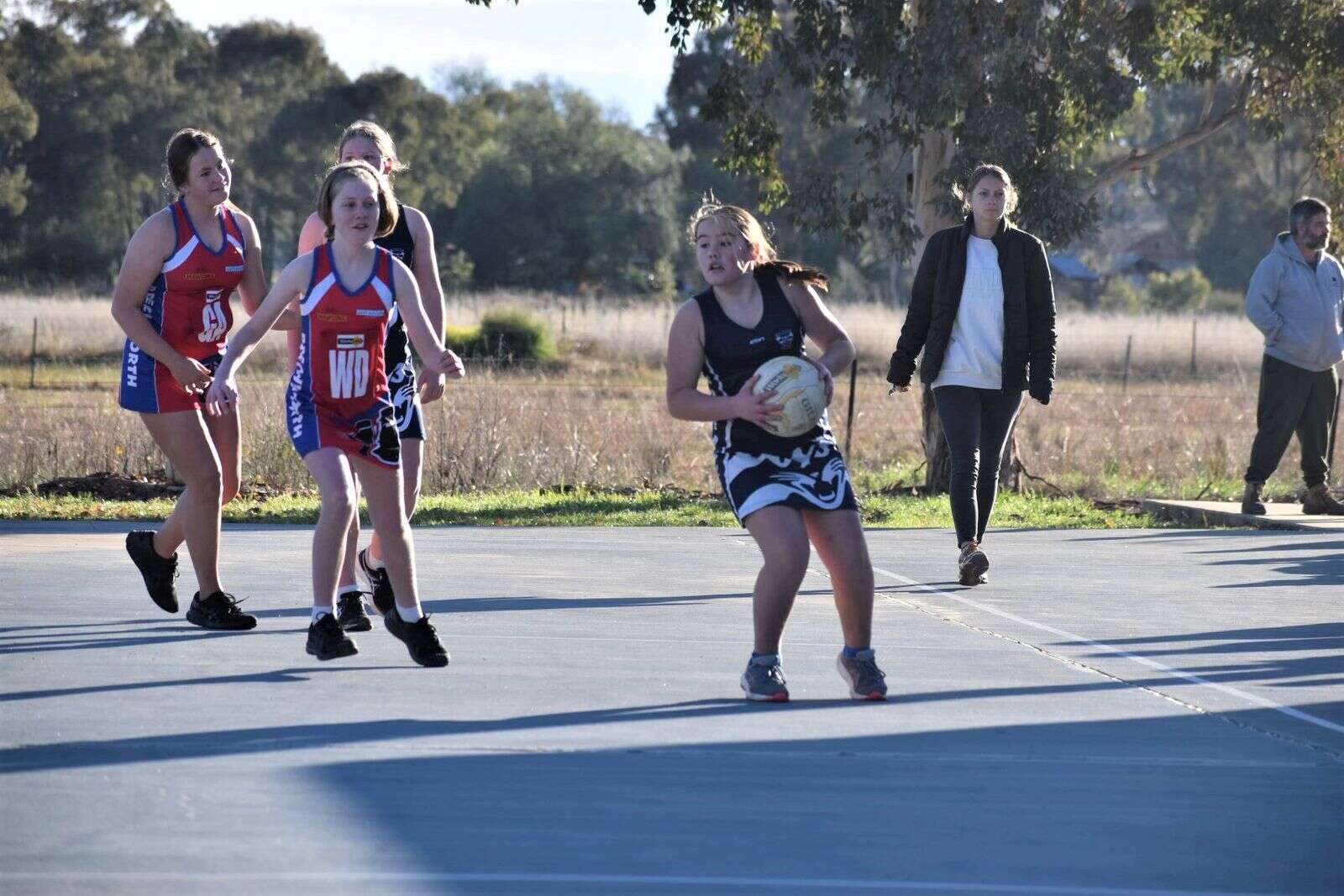 Cats Netball Results | Shepparton News