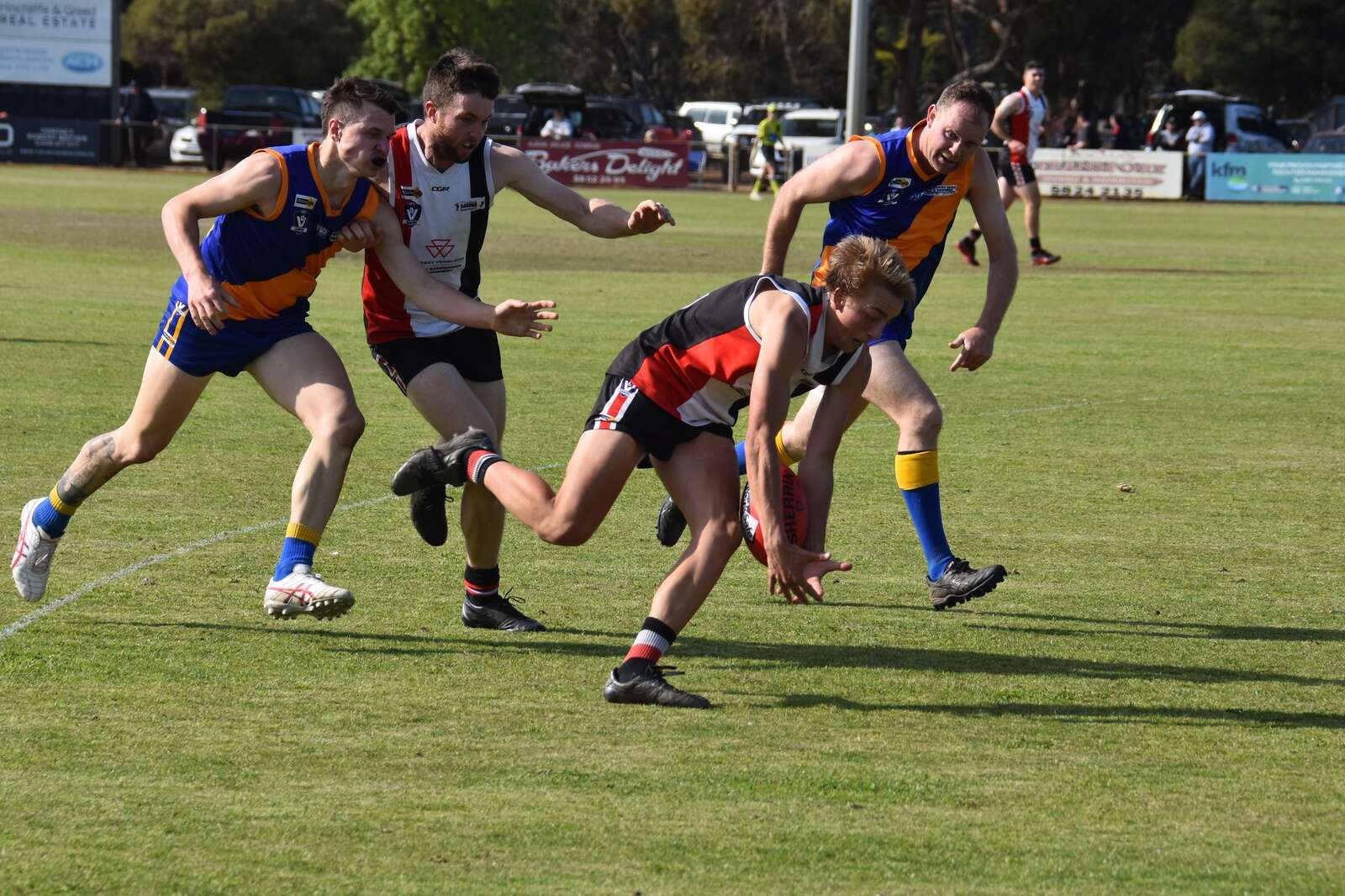 There is Magpie delight in both the GVL and MFL | Shepparton News