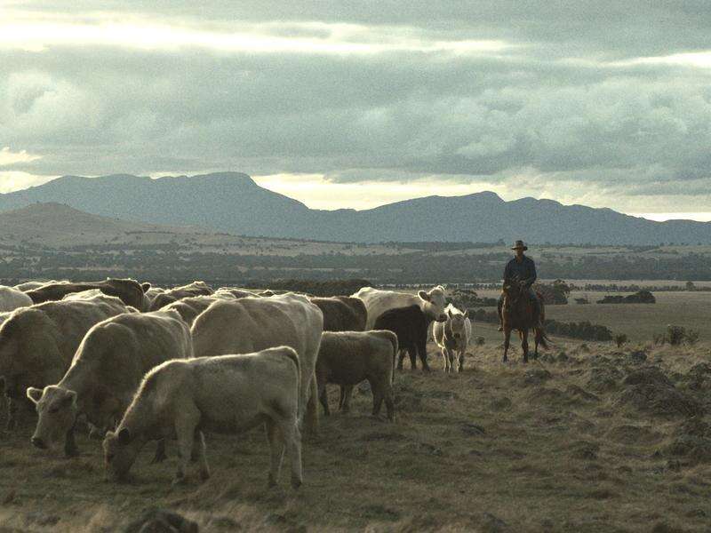 Farmer turns actor in film exploring bush mental health | Shepparton News