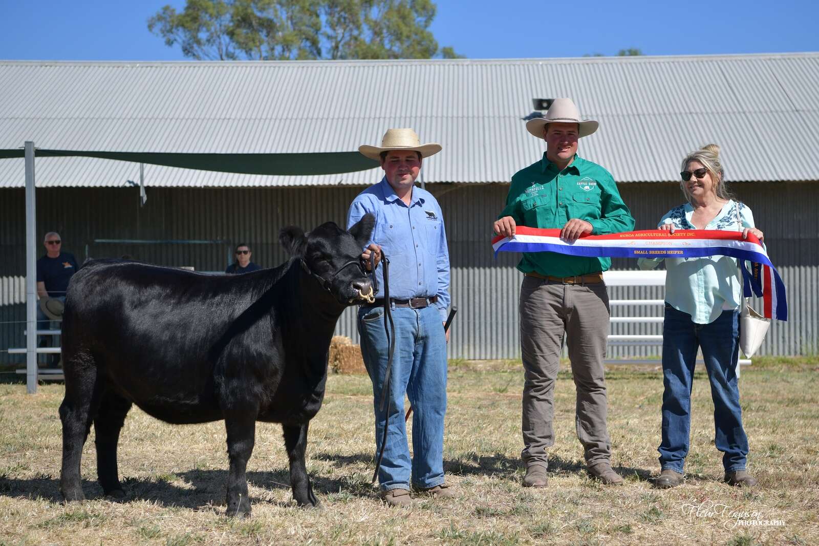 Cattle show set to shine | Shepparton News