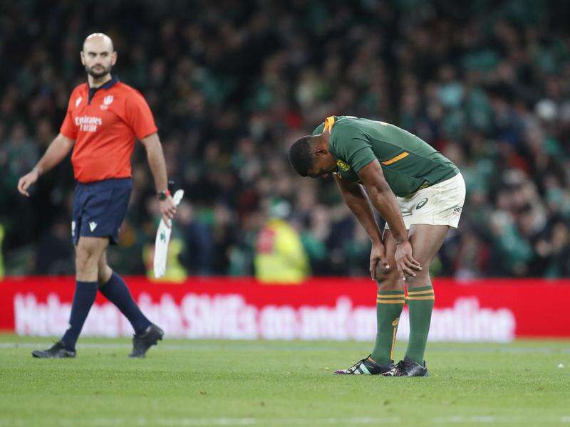Ireland down Springboks in bruising battle | Country News