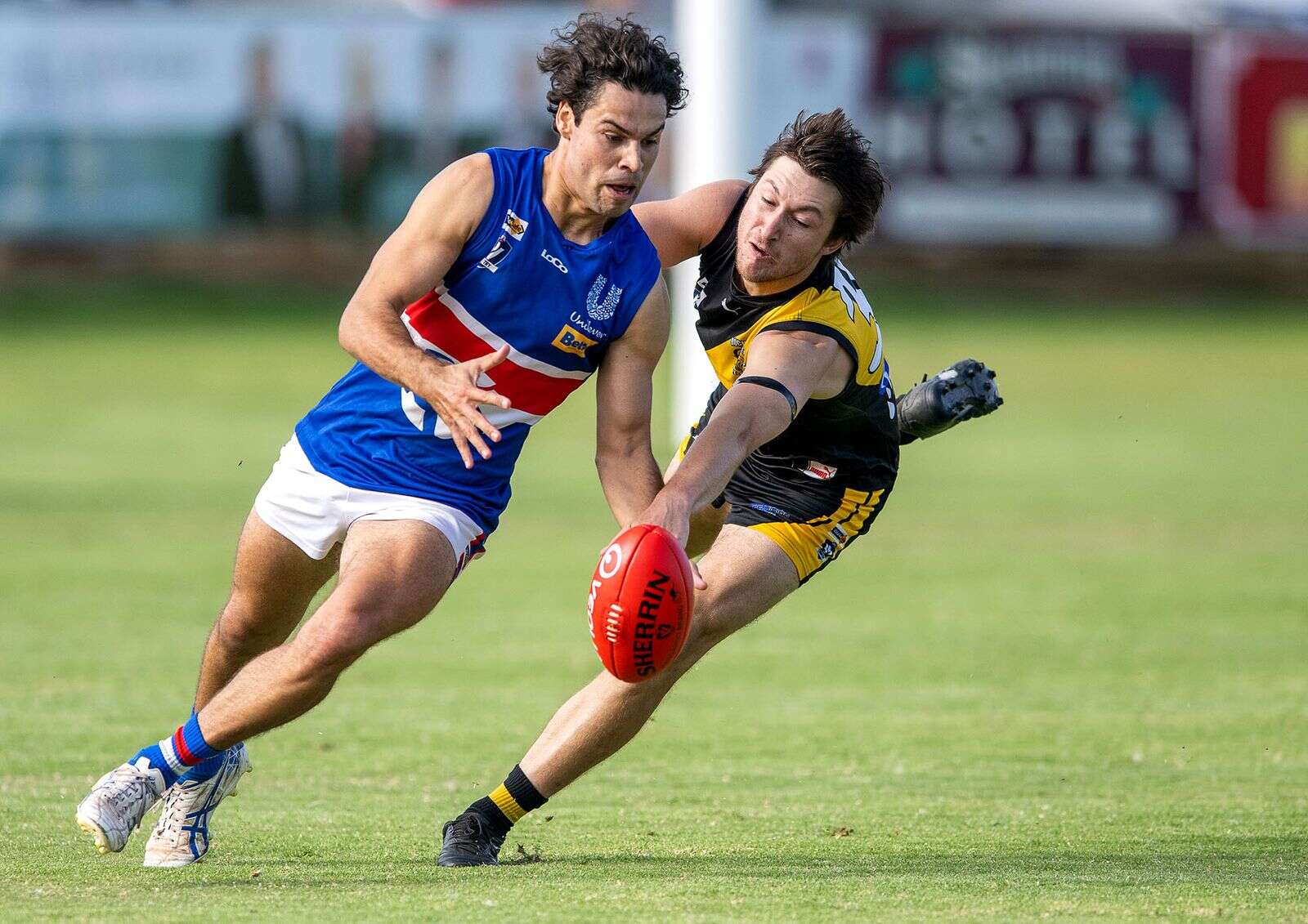 From Tatura Park to Punt Road: Billy Cooper joins VFL ranks ...