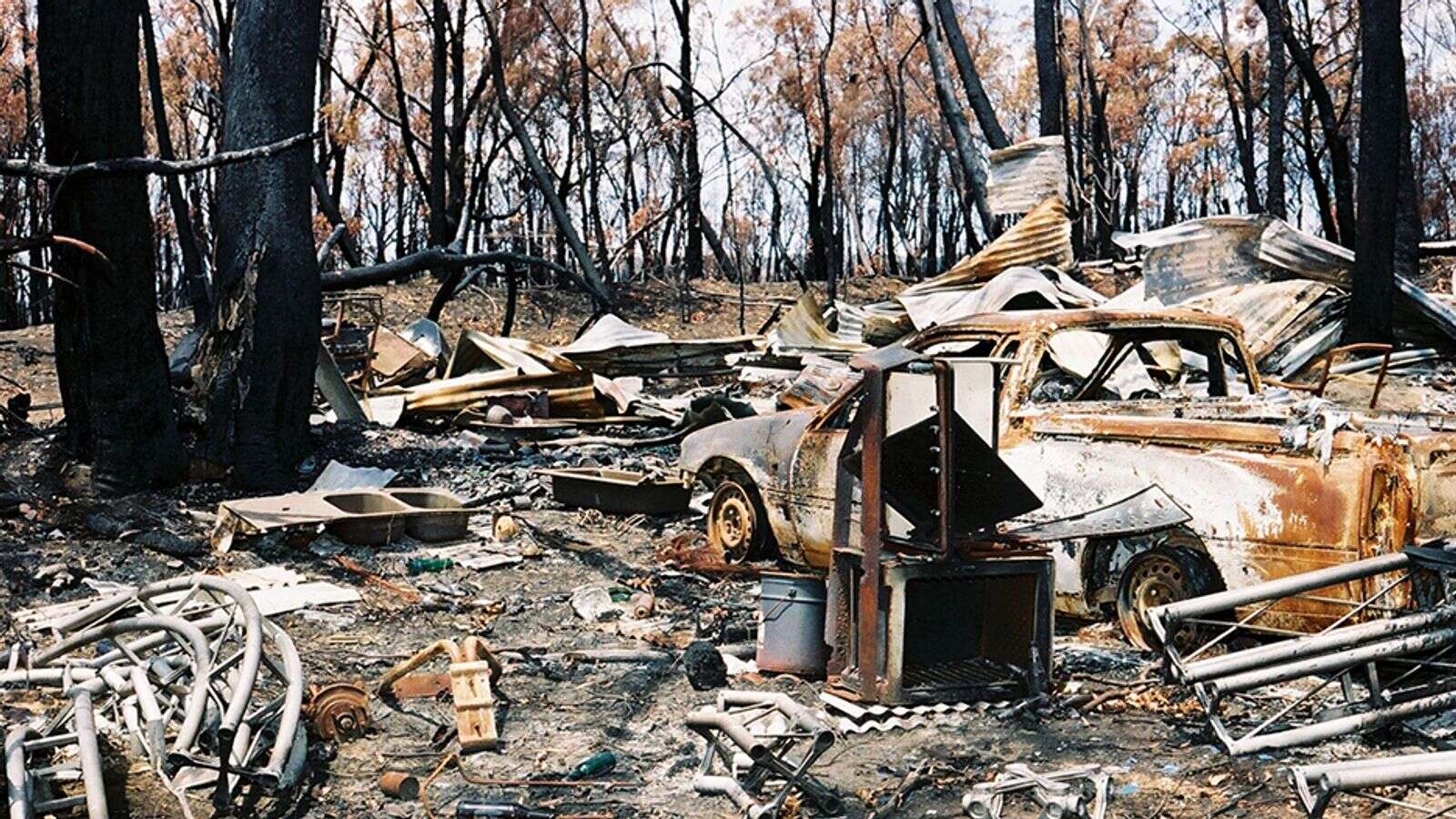 A sobering look at bushfire season and Australia’s environmental future ...