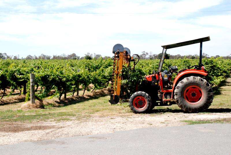 Strathbogie Shire celebrates local business and community heroes ...