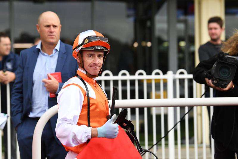 Kootara gives Seymour trainer a winning start | Riverine Herald