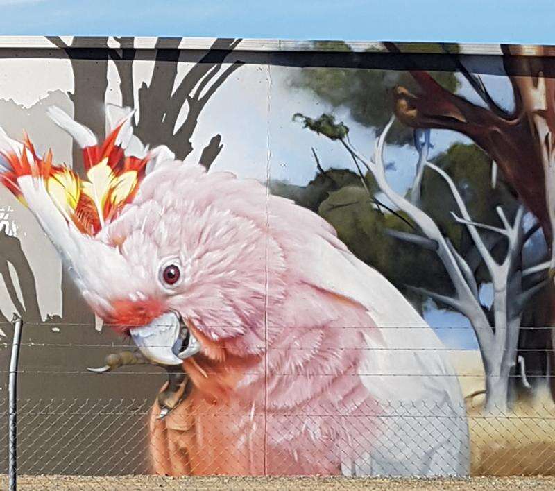 Kyabram's new artwork complete | Country News