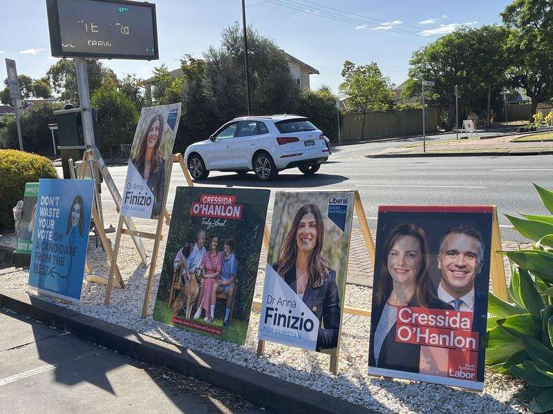 Libs withdraw election ad after 'unusual' intervention | Shepparton News