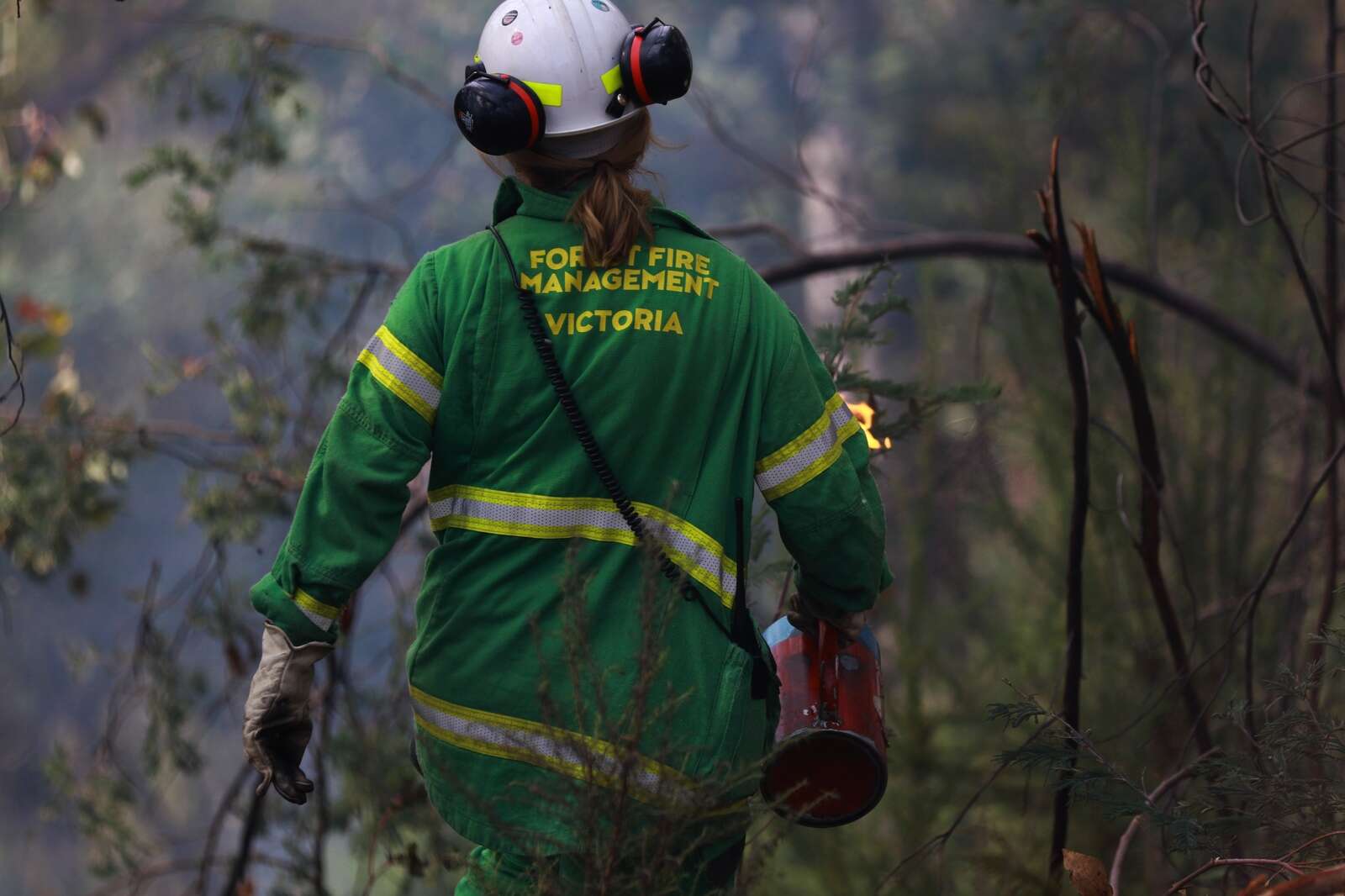 Recruiting campaign for forest firefighters | Country News