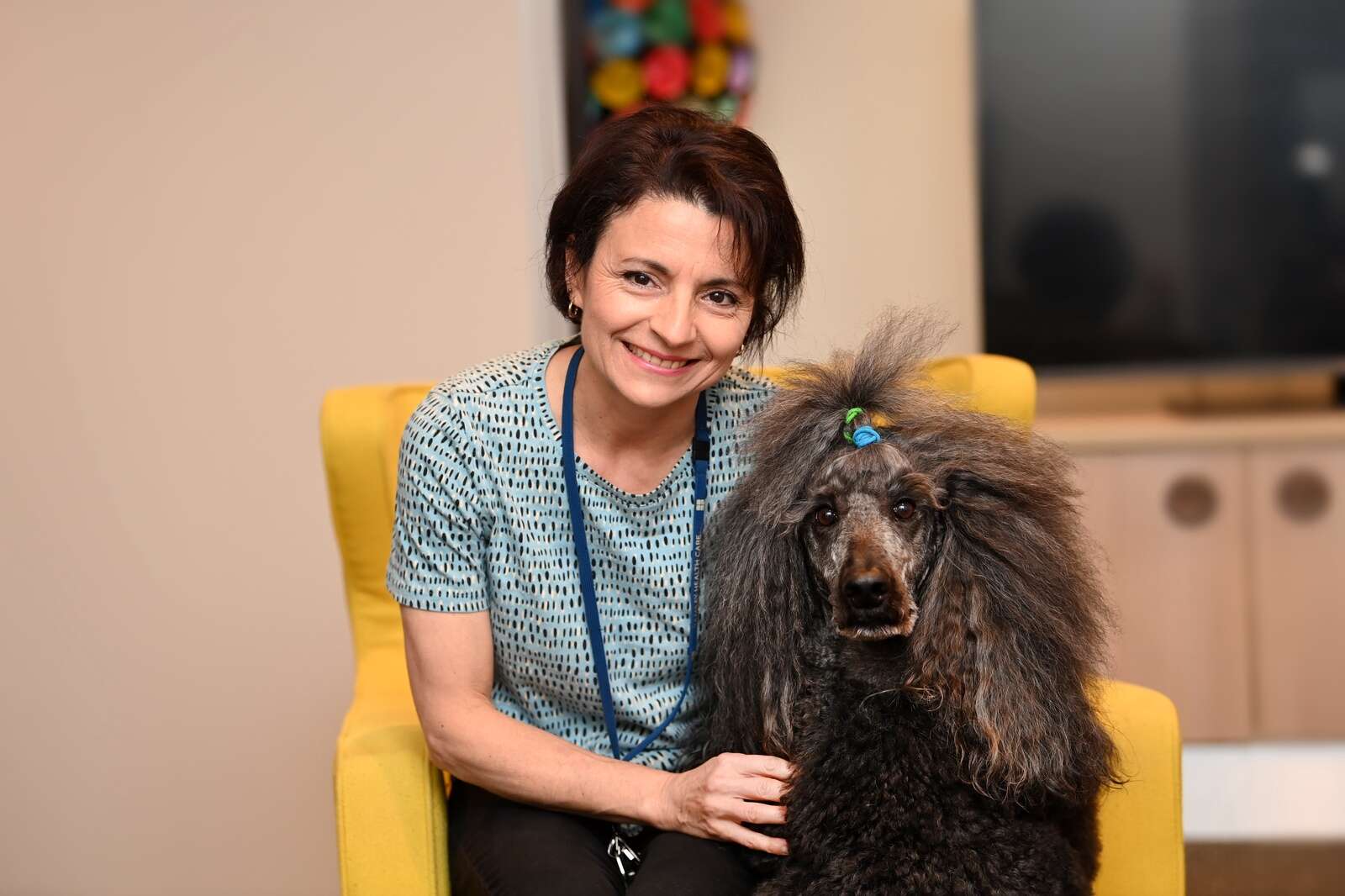 A therapy dog’s journey from pup to professional | Dairy News Australia
