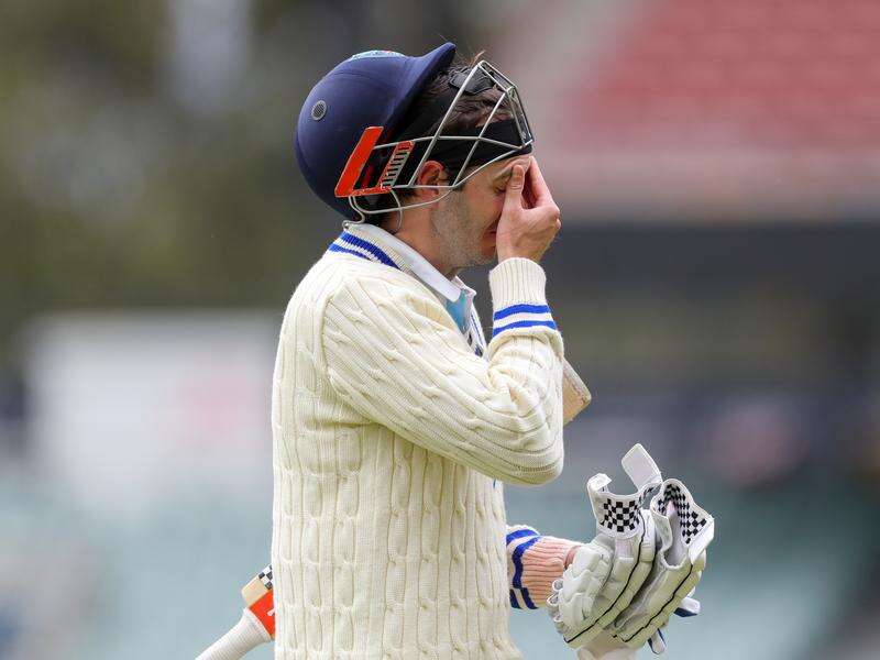 NSW drop Kurtis Patterson as Lyon returns for Shield | Riverine Herald