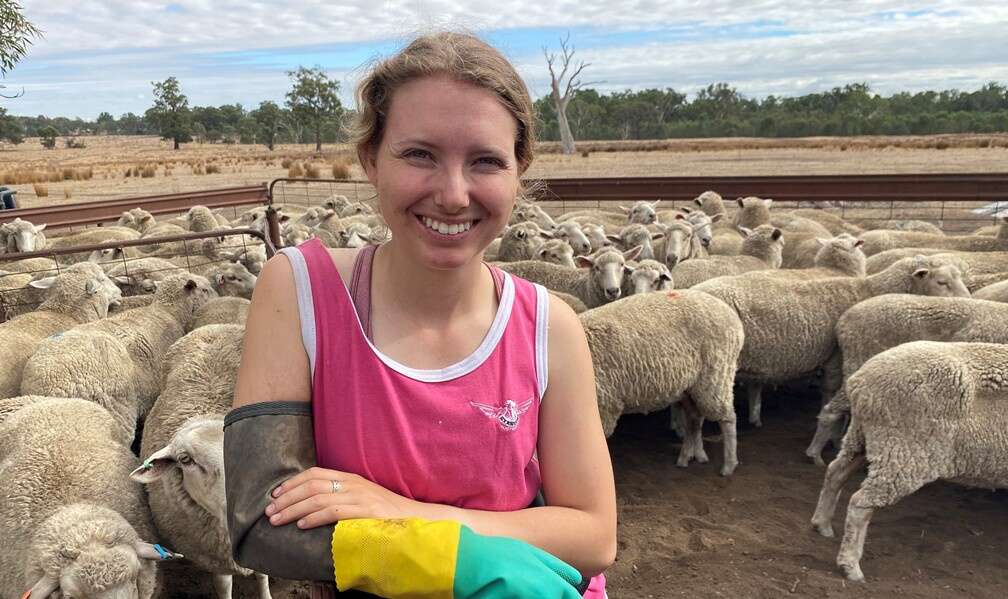 Ewe need a scan | Country News