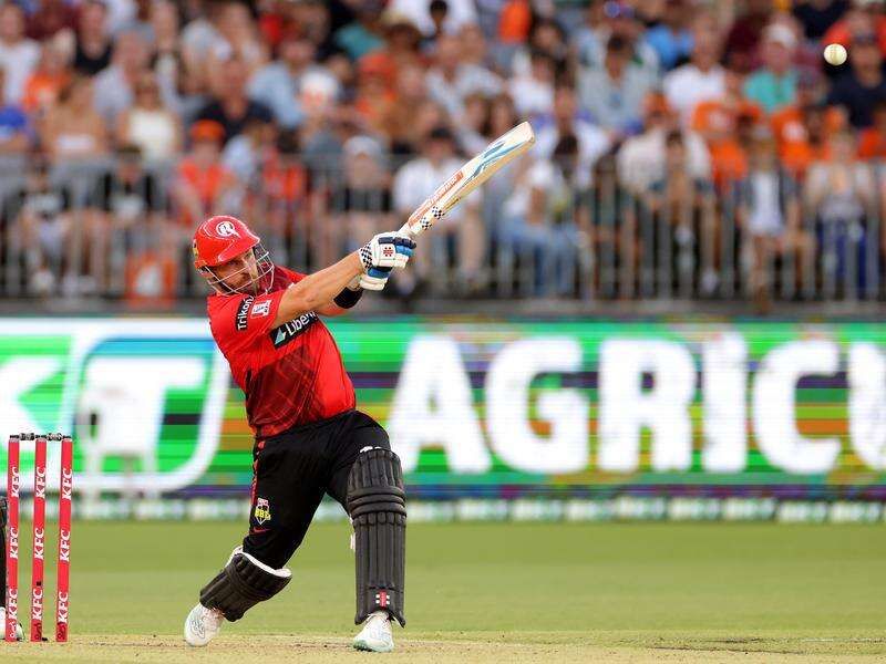 Victorious Renegades into BBL finals | Shepparton News